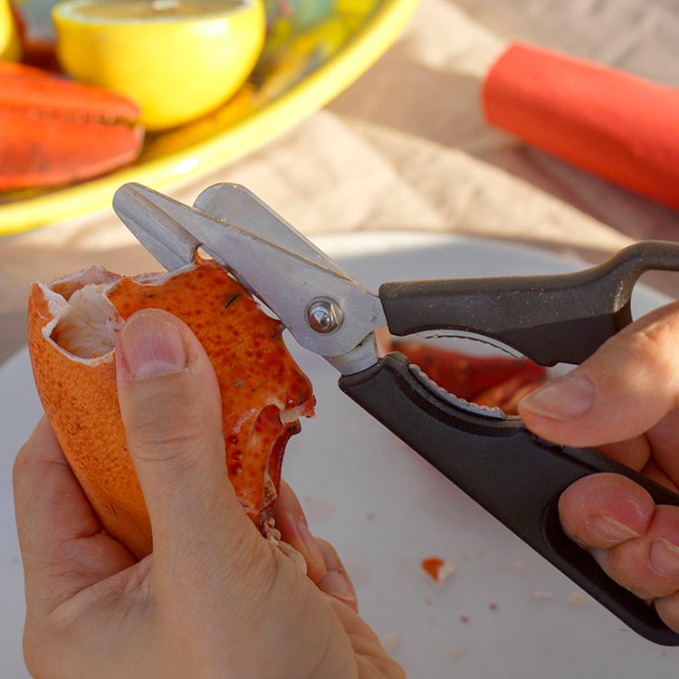 Skalldyrsaks til hummer, krabbe og kreps